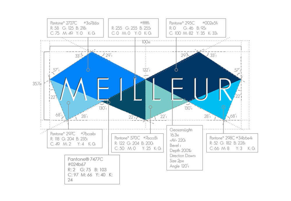 Meilleur Companies | Guzman Labs